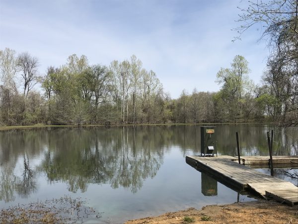 Fish Management - Aquatic Control