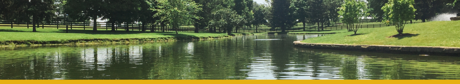 Algae & Weed Control - Aquatic Control